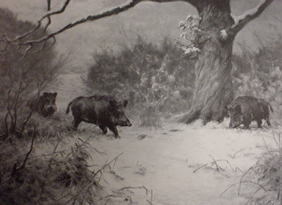 Hunting and Shooting in Germany